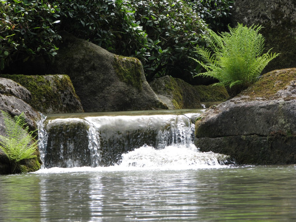 Seminare – Elisabeth Singer